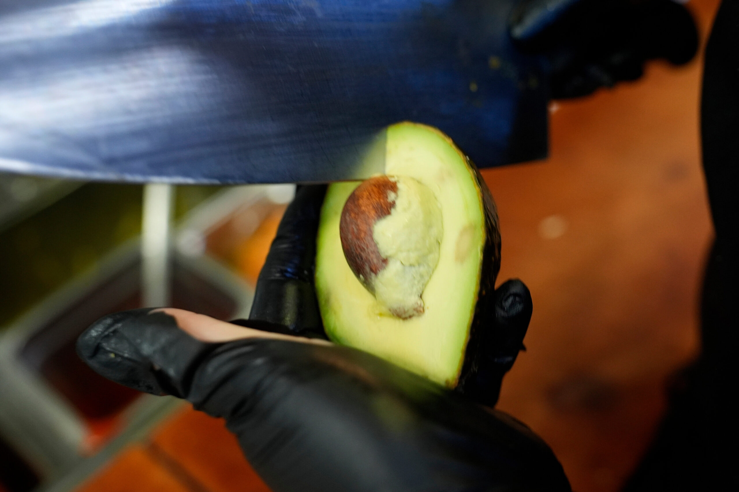How to grow an avocado tree from seed | News, Sports, Jobs - Lawrence ...
